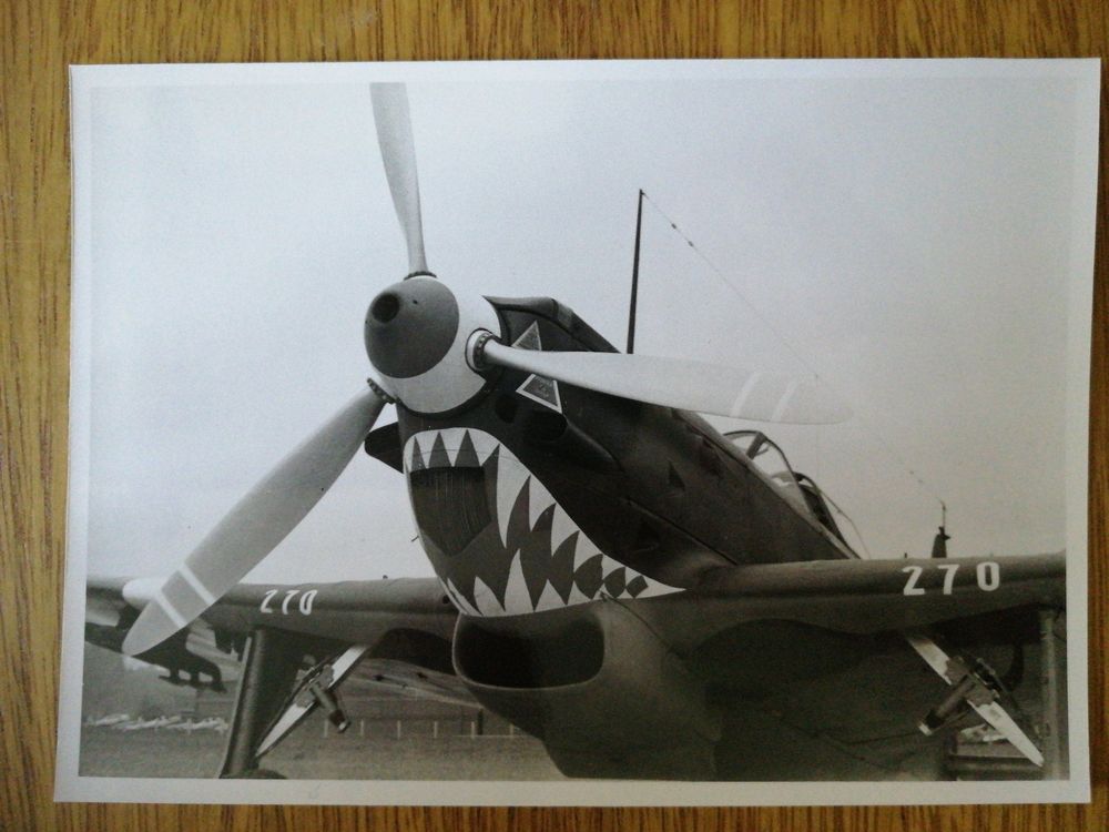 Foto Haifischmaul D-3801 Morane, Schweizer Luftwaffe | Kaufen auf Ricardo