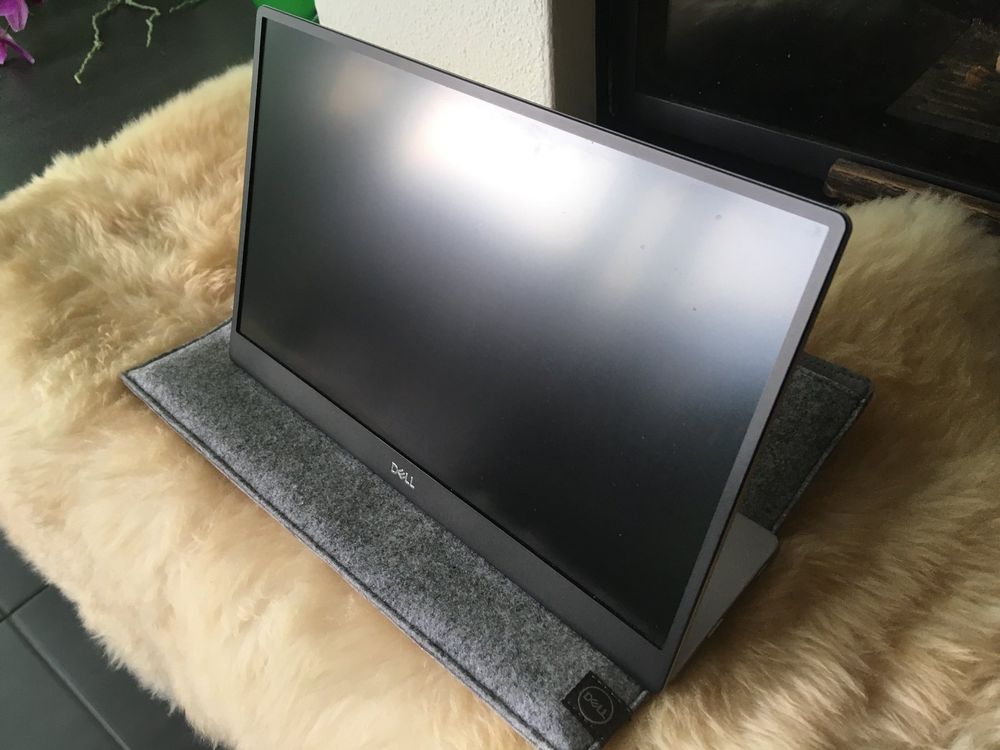 Dell Portable Monitor C1422H (Gebraucht) in Kerns für CHF 130 – mit ...