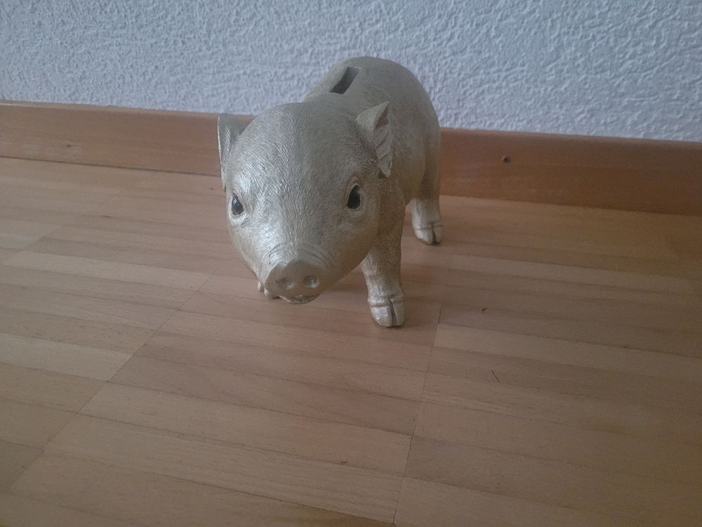 Süsses grosses Sparschwein Ferkel Spardose Schwein gold (Neu (gemäss ...