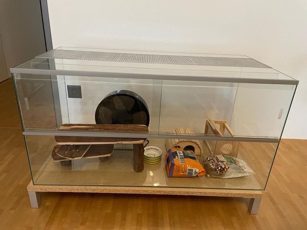 Hamster Terrarium 100x50x50 cm, inkl. allem drum und dran | Kaufen auf ...