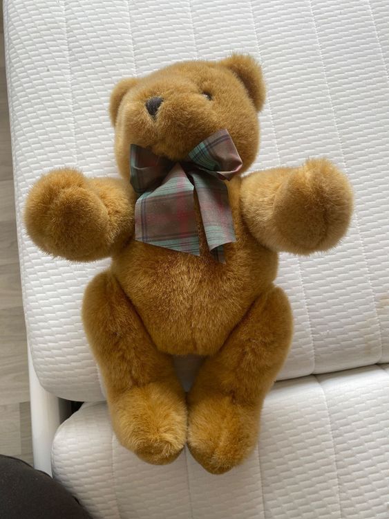 prachtvoller Brumm-Bär - beim Drücken brummt der Bär (Gebraucht) in ...