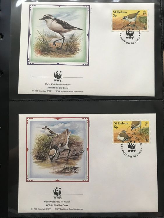 WWF St.Helena 1993 Satz Regenpfeifer Ersttagsbriefe (Neu (gemäss ...