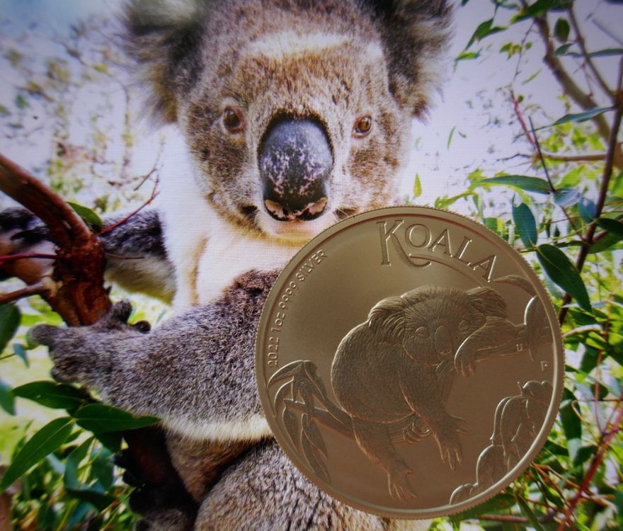 1 Silberunze KOALA 2022 NEU!! | Kaufen auf Ricardo