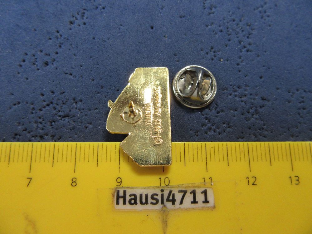 PIN BERNINA-EXPRESS ZUG BAHN GRAUBÜNDEN GOLDIG | Kaufen auf Ricardo