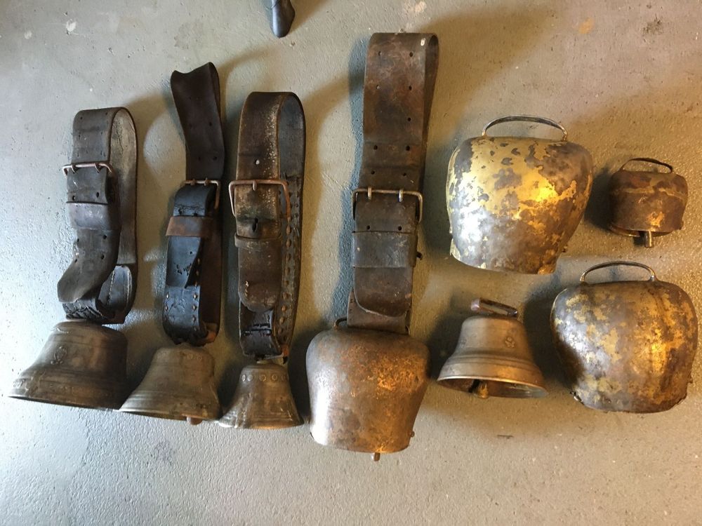 4 Glocken & 4 Treicheln ab 1.00 Fr. (Defekt) in Birrhard für CHF 71 – mit Lieferung auf Ricardo ...