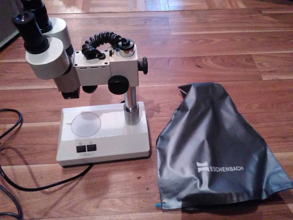 Microscope eschenbach (Gebraucht) in St-Maurice für CHF 50 – nur ...