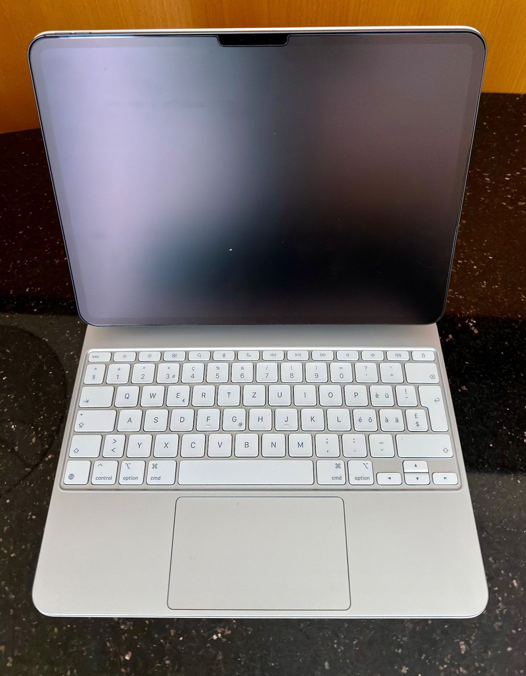 Apple Magic Keyboard iPad Pro (M4) 13 - weiss (Gebraucht) in Nänikon ...