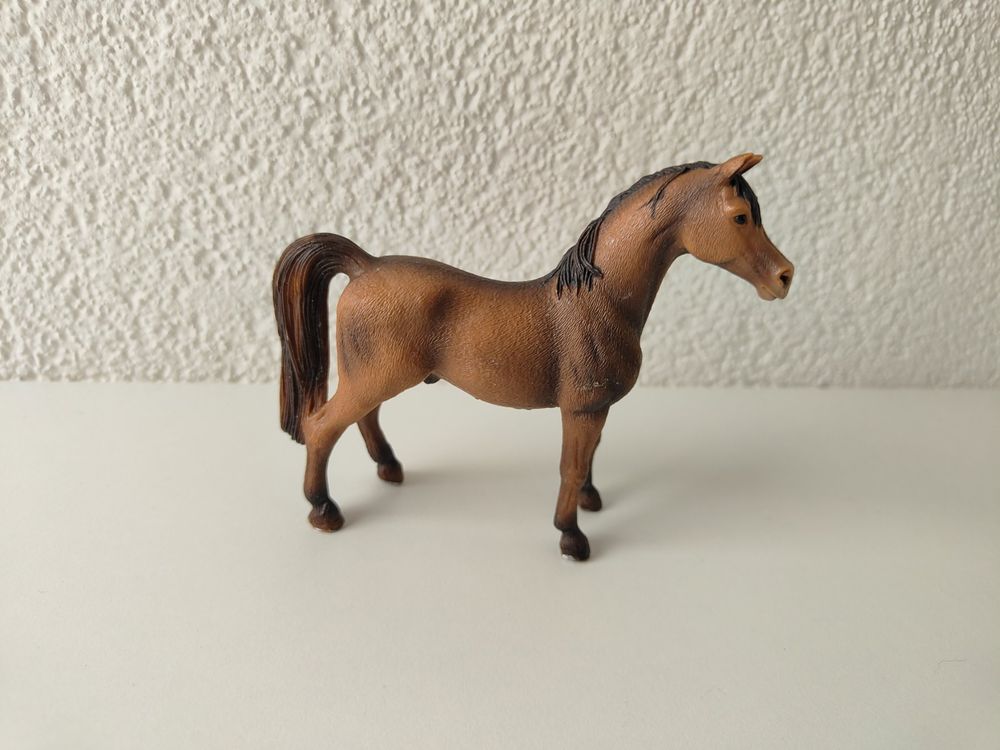 Schleich Araber Hengst Horse Club Bauernhof Pferde (Gebraucht) in Thalwil für CHF 5 – mit ...