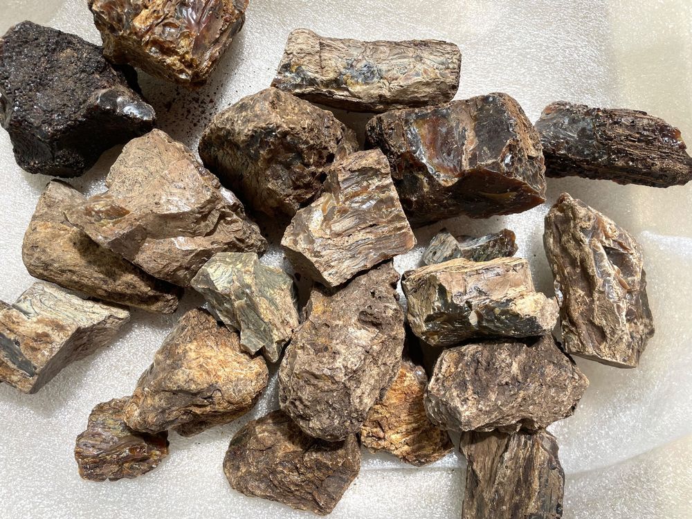 1 Kilo Bernstein Amber interessant woodamber TOP | Kaufen auf Ricardo