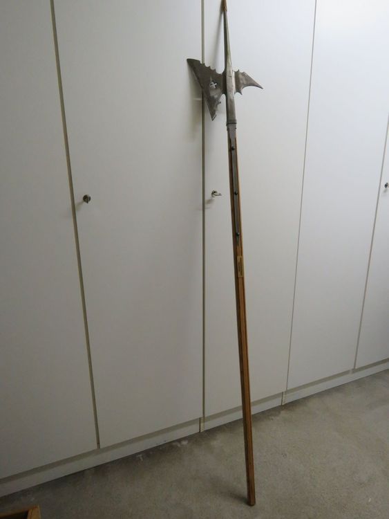 Hellebarde (Neu (gemäss Beschreibung)) in Wohlen AG für CHF 79 – mit ...