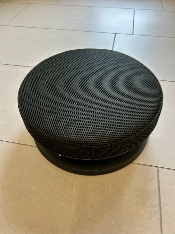 Swedish Posture Posture Balance Core (Neu (gemäss Beschreibung)) in ...