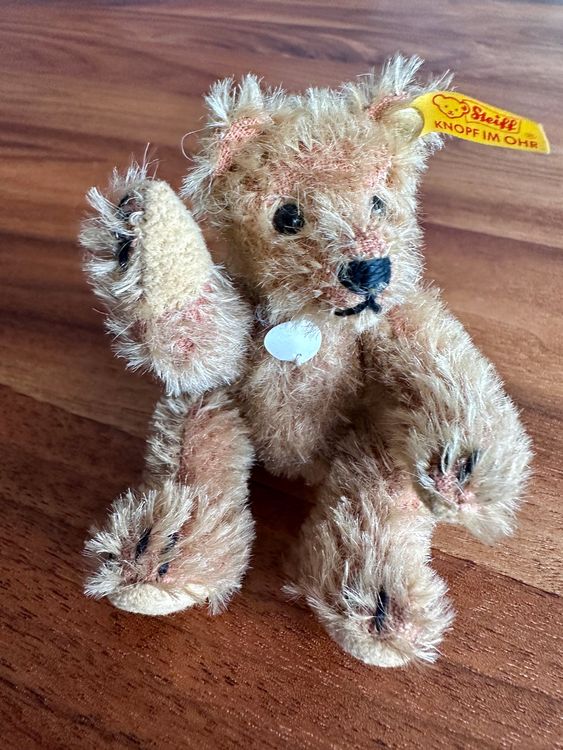 Original Steiff Mini Teddybär (Gebraucht) in Kloten für CHF 17.5 – mit ...