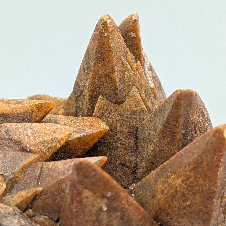 CALCIT, GROSSE skalenoedrische Kristalle, Sardinien (Nuovo (secondo la descrizione)) a Balerna ...