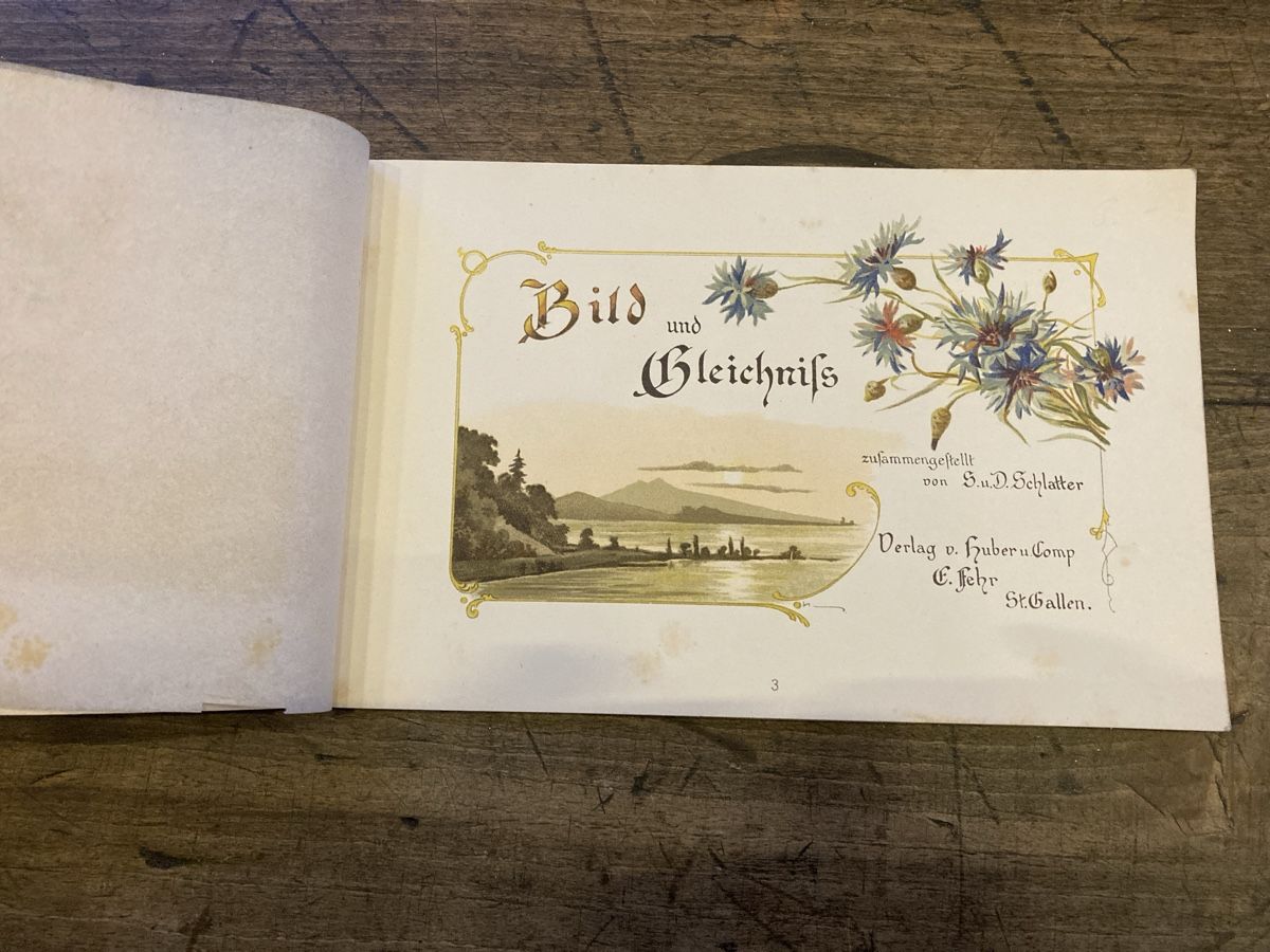 Bild und Gleichnis, E. Fehr 1892, St. Gallen (Gebraucht) in Zürich für ...