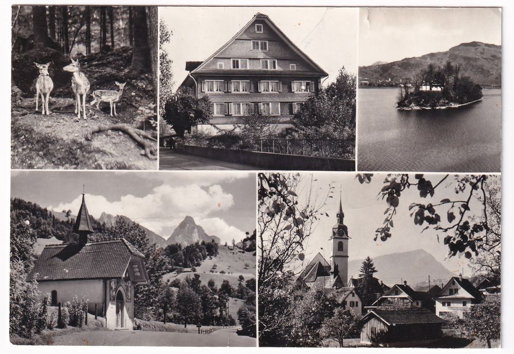 Fam David Beffa-Bolfing "Hausmatt" Steinen Kt. Schwyz Defekt (Defekt ...