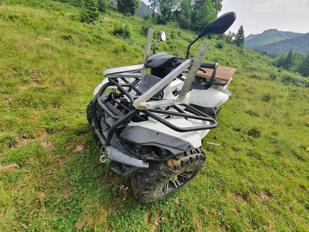 Quad Access AX 700 4 WD | Kaufen auf Ricardo