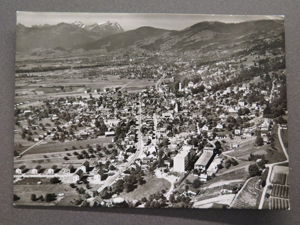 REBSTEIN - IM ST. GALLER RHEINTAL (Gebraucht) in Wittenbach für CHF 19 ...