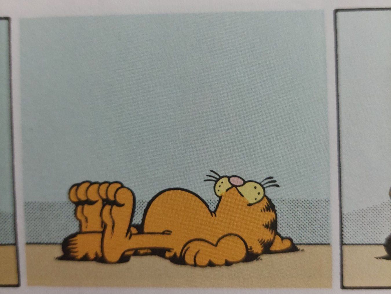 Garfield Se Jette à L'Eau EO 1999 BE+ (D'occasion) à Genève pour CHF 4 ...