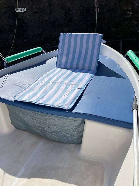 Motorboot, Fischerboot, Badeboot, Familienboot / 6 PS-Motor (Gebraucht ...
