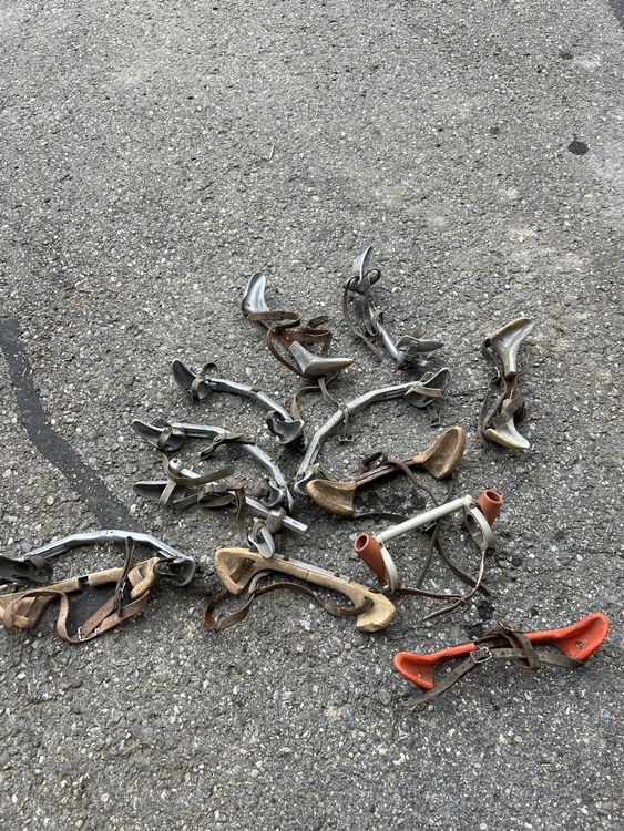 12 Stk. Hornführer (Gebraucht) in Schangnau für CHF 160 – mit Lieferung ...