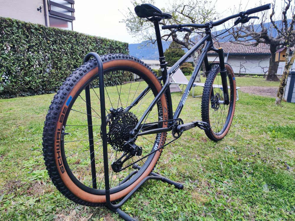 Bird Forge - Reynolds 853 Steel Hardcore hardtail - Ab 1.-! | Kaufen ...