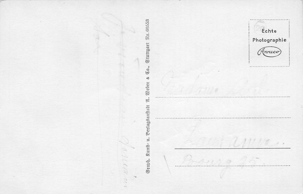 Graf Zeppelin LZ 127 – Das Luftschiff in Fahrt (Usato) a Biasca per CHF ...