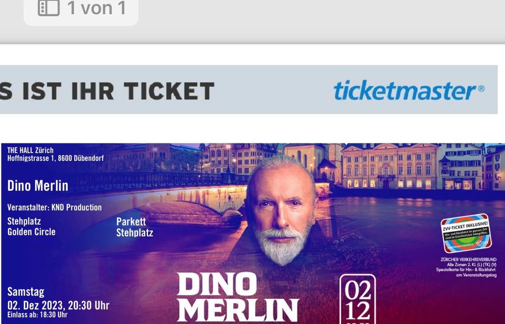 Dino Merlin Golden Circle Tickets 02.12. The Hall | Kaufen auf Ricardo