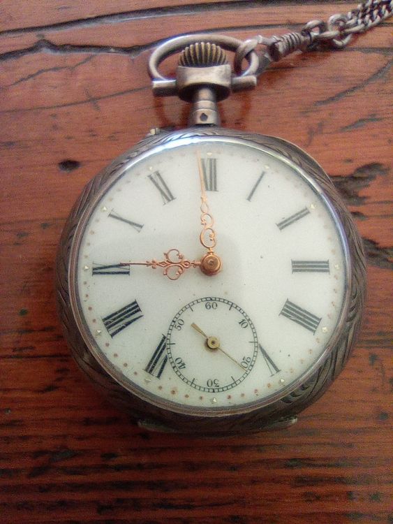 Taschenuhr Automatic Uhr | Kaufen auf Ricardo