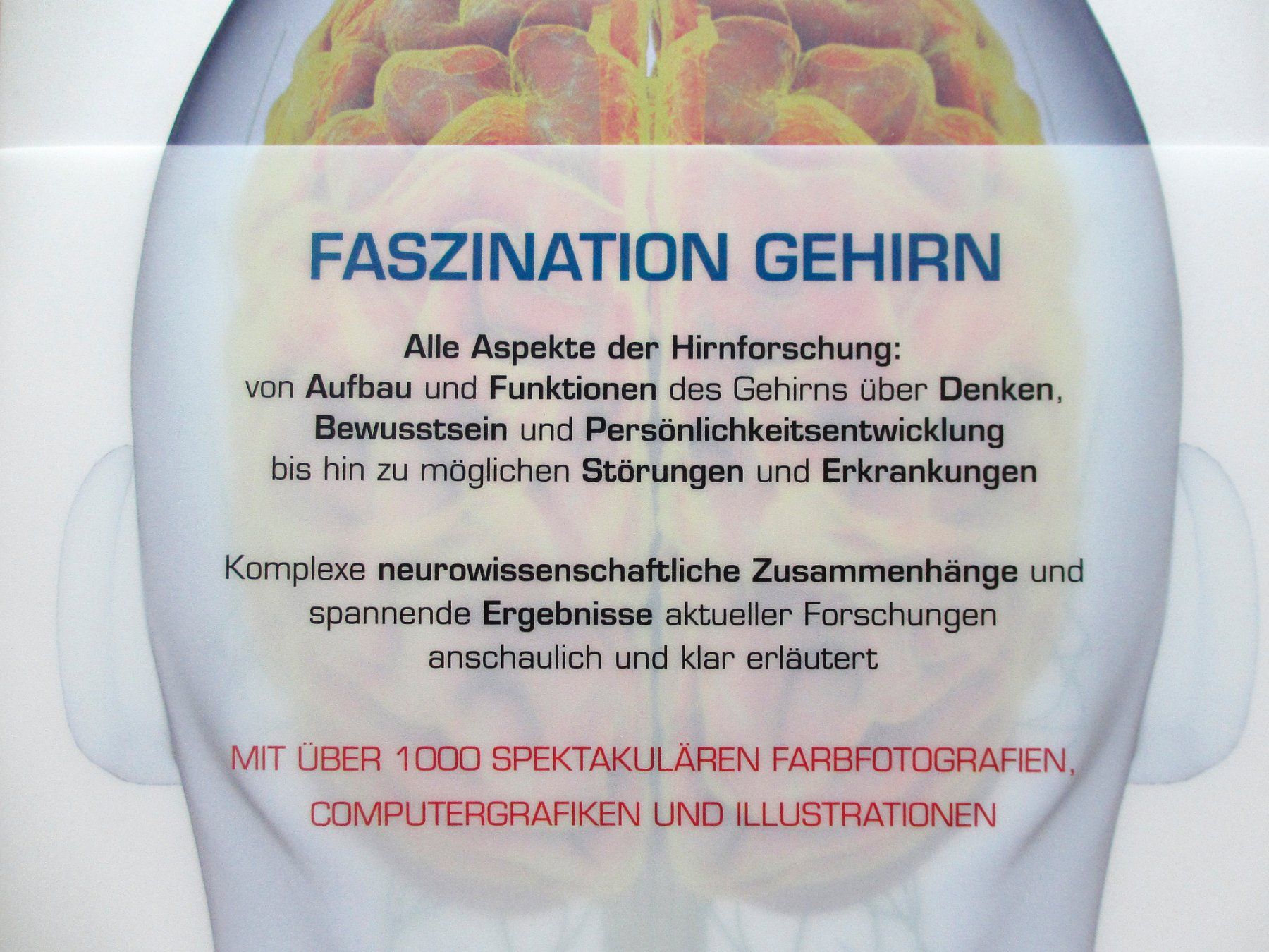 Neustart im Kopf / Das Gehirn, 2 neue/neuwertige Bücher (Neu (gemäss ...