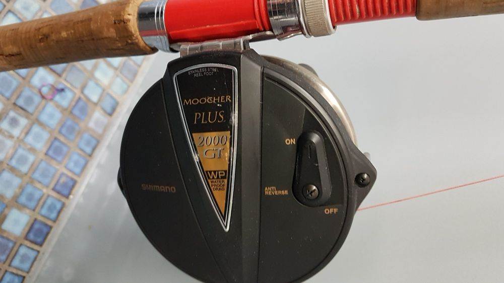 Schlepprute mit Moocher Plus Rolle / Sinkschnur (Gebraucht) in ...