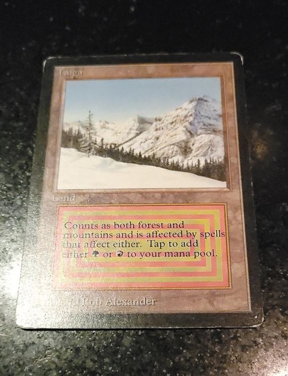 Magic the Gathering - Taiga (BETA) | Kaufen auf Ricardo