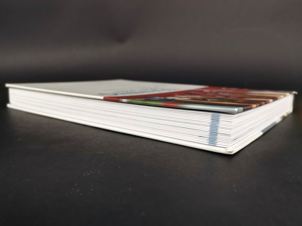 TRAINING fundiert erklärt Handbuch Jost Hegner (Gebraucht) in ...