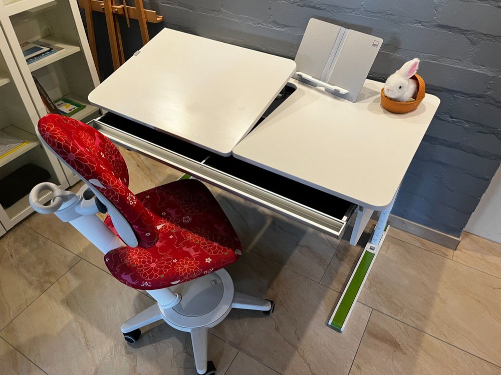 Schreibtisch Moll Champion Left-up mit Stuhl Maximo | Kaufen auf Ricardo