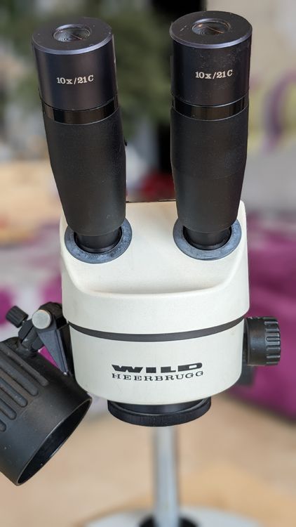 Swiss Stereo Microscope Wild Heerbrugg M1B (Gebraucht) in Concise für ...