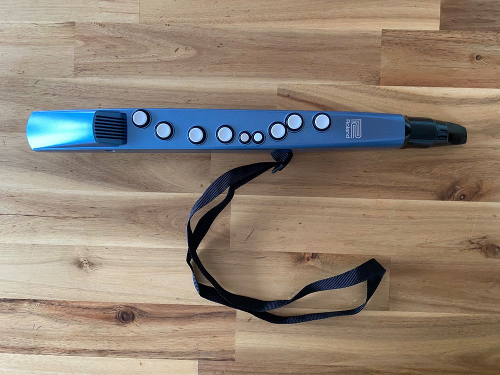 Roland AE-01 Aerophone Mini, Saxophon/Blockflöte digital | Kaufen auf ...