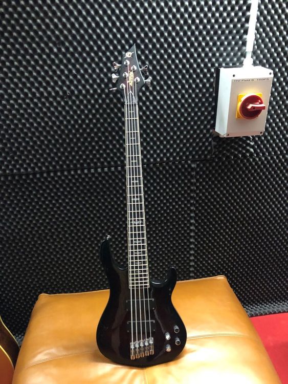 Jaws 5 String bass (defekt) | Kaufen auf Ricardo