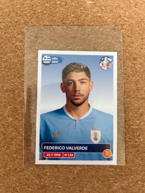 Panini Conmebol Copa America 2024 Federico Valverde (Neu (gemäss ...