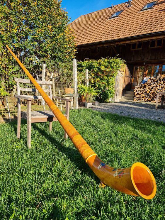 Alphorn | Kaufen auf Ricardo