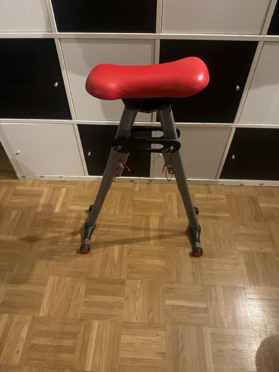 Thunder Squat Exercise Machine (D'occasion) à Brügg BE pour CHF 25 ...