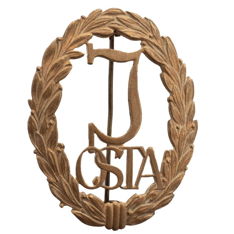 ÖSTA-SPORT- UND TURNABZEICHEN BRONZE FÜR JUGENDLICHE (Gebraucht) in ...