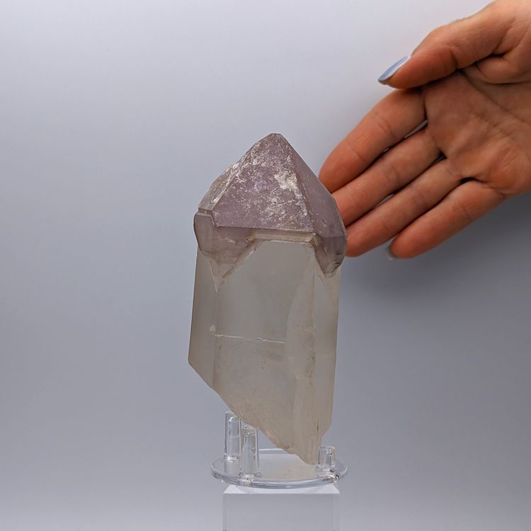RIESIGES LILA AMETHYST-ZEPTER, 12 cm, SEHR SELTEN (Neu (gemäss Beschreibung)) in Balerna für CHF ...