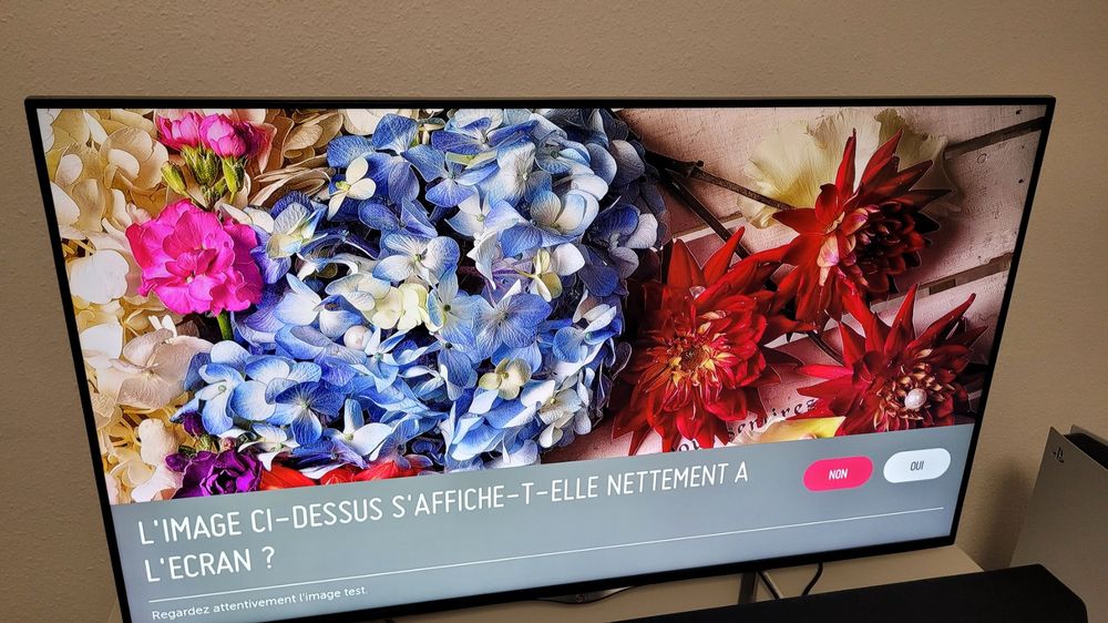 TV LG LED 4K 49" (Gebraucht) in Meyrin für CHF 135 – nur Abholung auf Ricardo kaufen
