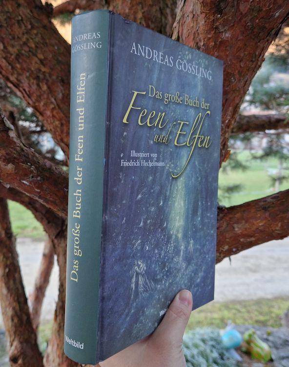 Buch - Das grosse Buch der Feen und Elfen -Weltbild | Kaufen auf Ricardo