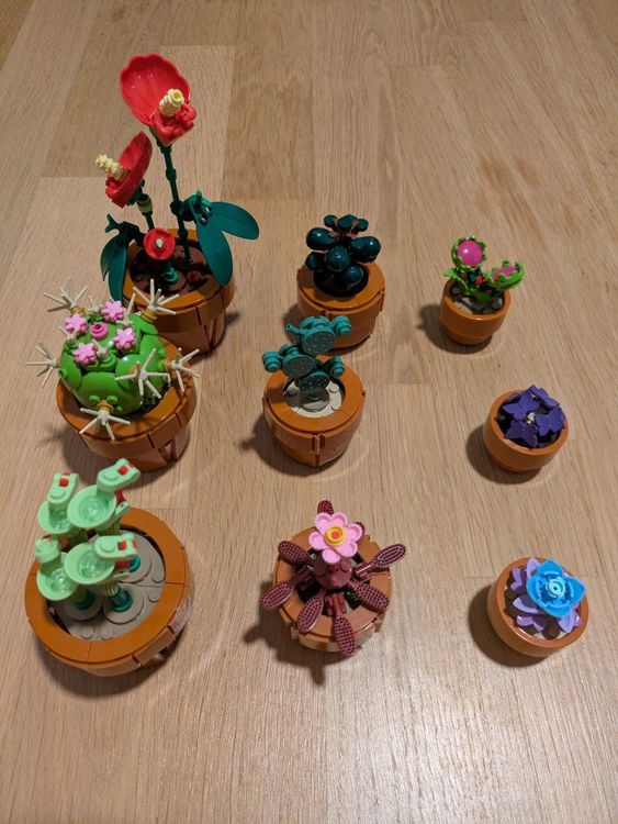 Lego Botanical Collection - Tiny Plants (10329) (D'occasion) à Lausanne ...