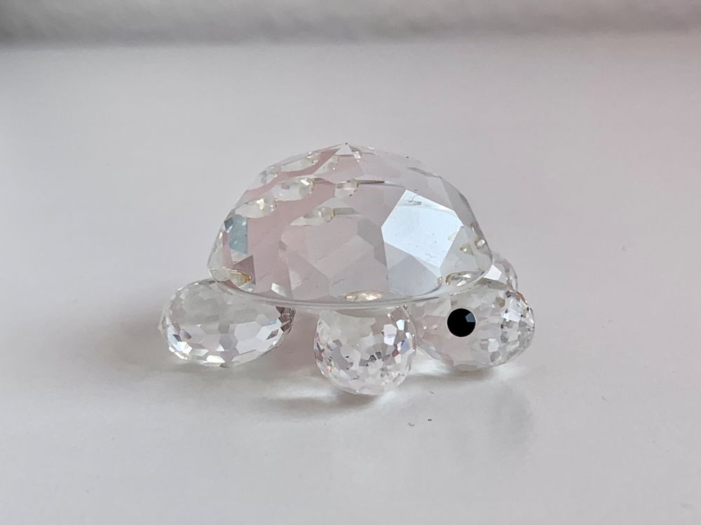 Swarovski Schildkröte (Gebraucht) in Kaiseraugst für CHF 19 – mit Lieferung auf Ricardo kaufen