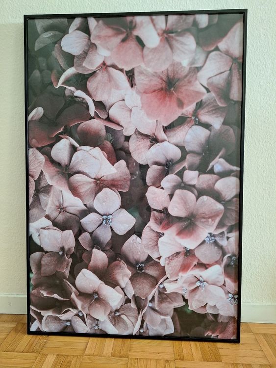 Wunderschönes Blumen-Bild mit Rahmen (Gebraucht) in Jegenstorf für CHF 10 – nur Abholung auf ...