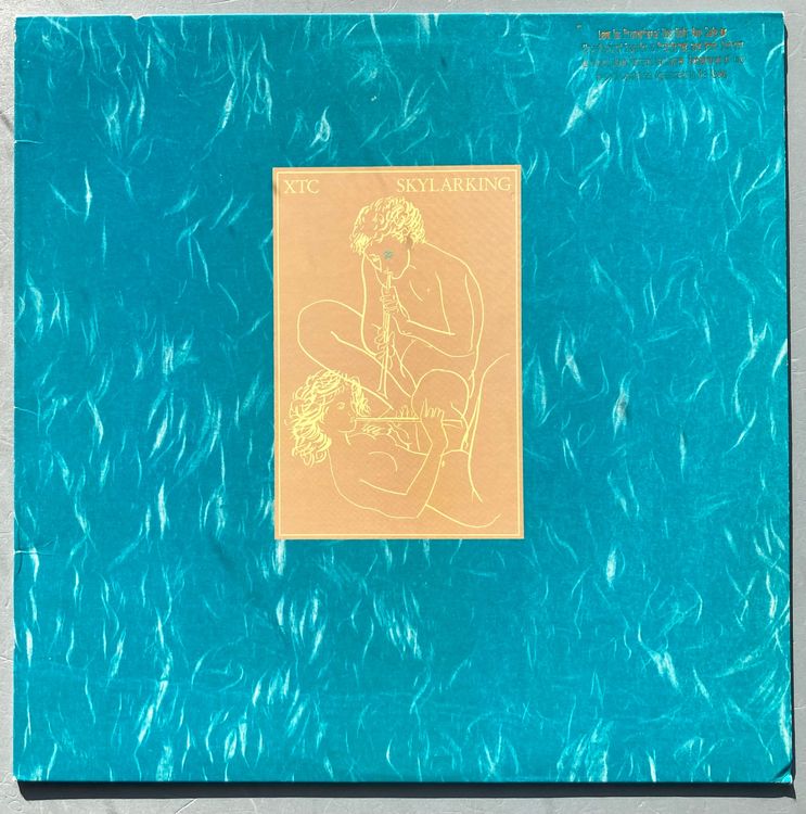 XTC -SKYLARKING (Gebraucht) in Poliez-Pittet für CHF 30 – mit Lieferung ...