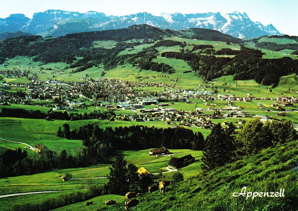 Appenzell mit Säntiskette | Kaufen auf Ricardo