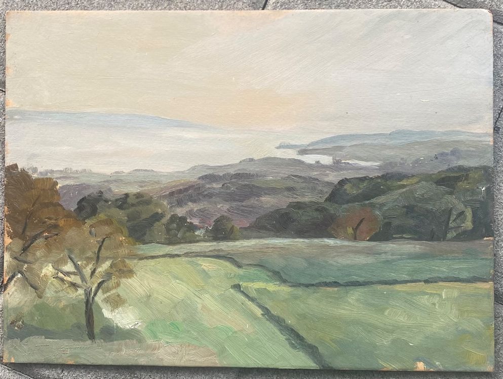 Schweizer Schule Landschaft Gemälde Verso: Unleserlich Sign. (Gebraucht) in Root für CHF 19 ...