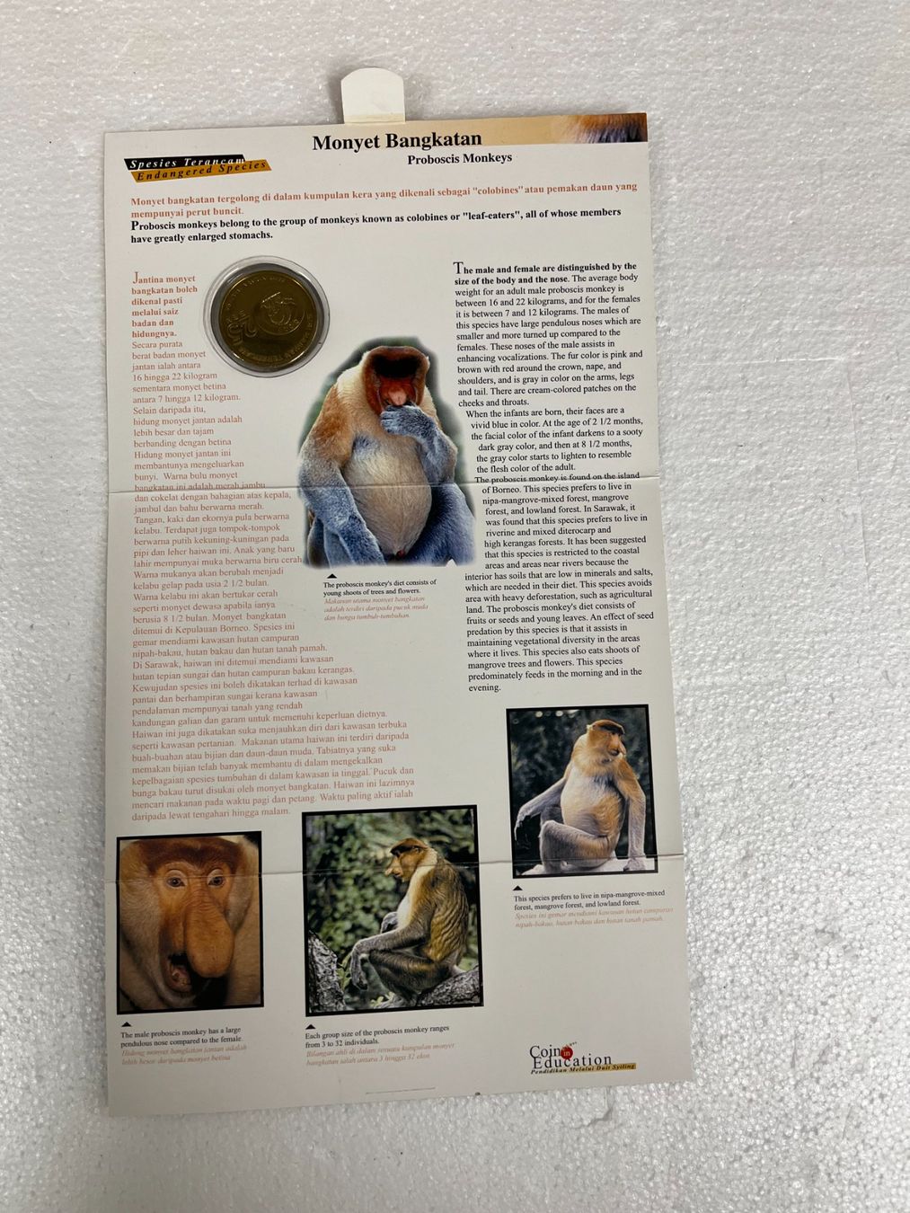 Gedenk-Spende-Goldmünze aus Borneo Malaysia Proboscis Monkey (Neu ...